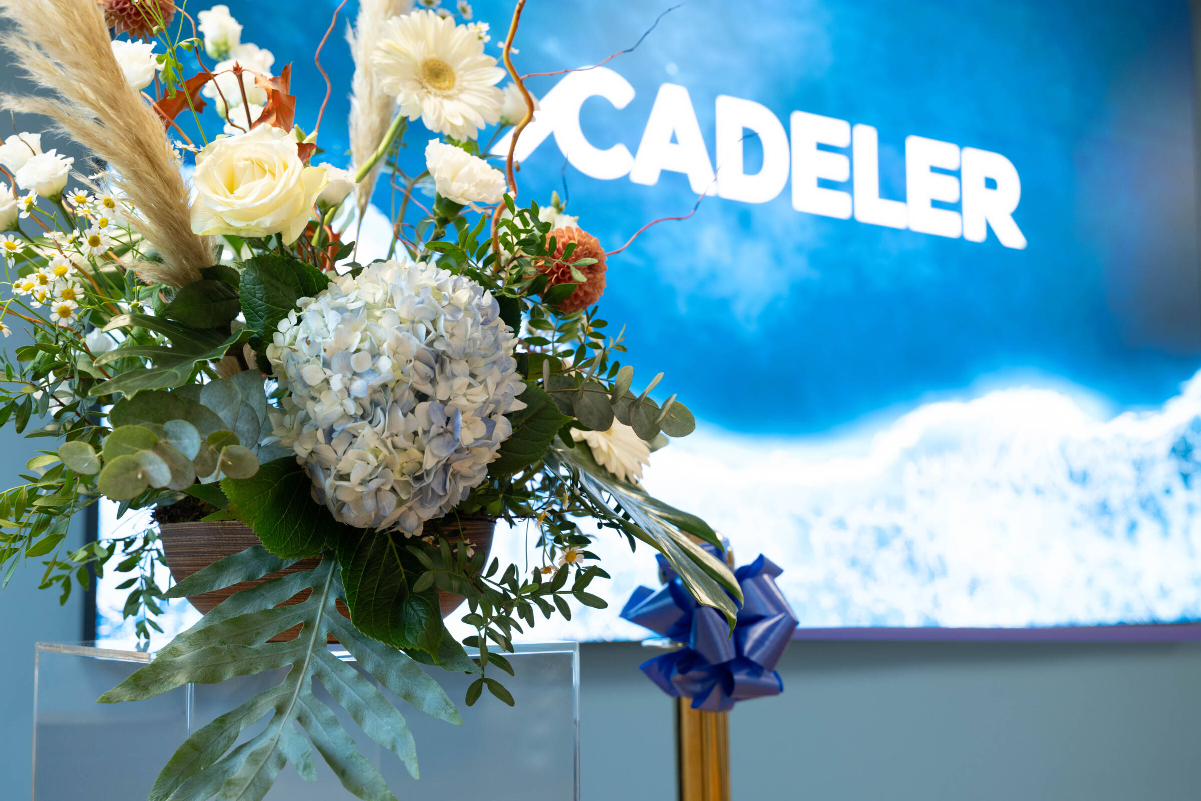 Cadeler opens new UK office in Norwich, reinforcing its commitment to ...